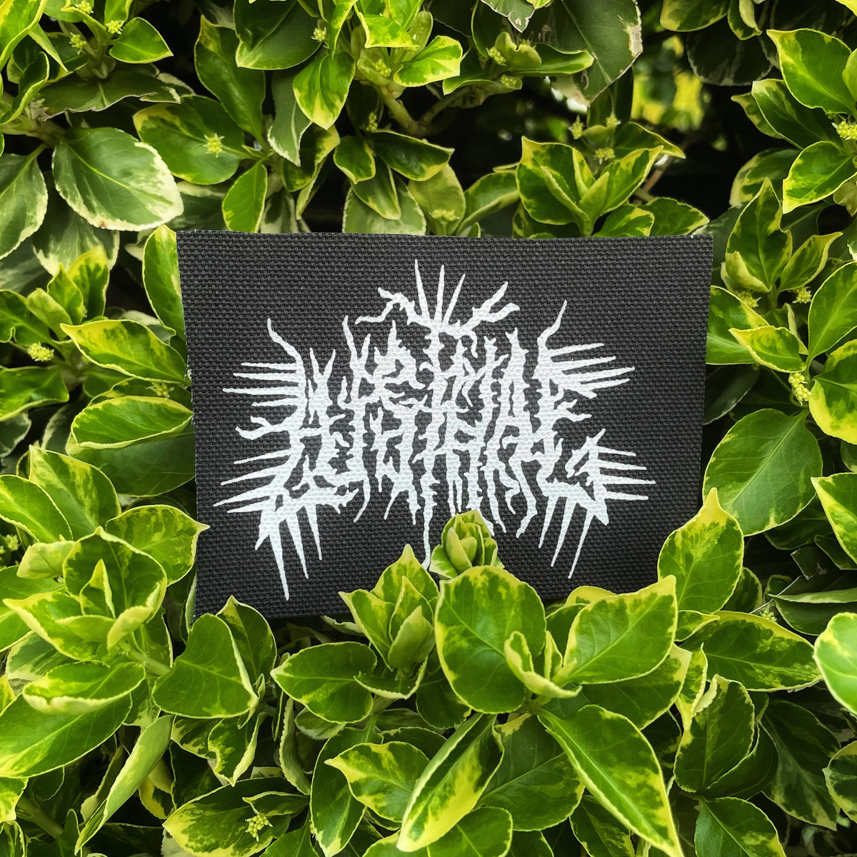 Mistress In The Mirror | Lust Hag | Fiadh Productions