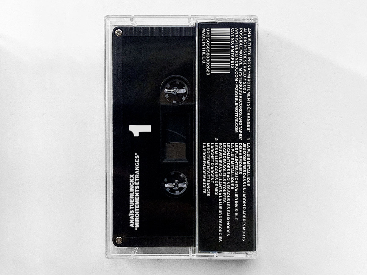 Miroitements Étranges | Anaïs Tuerlinckx | Possible Motive