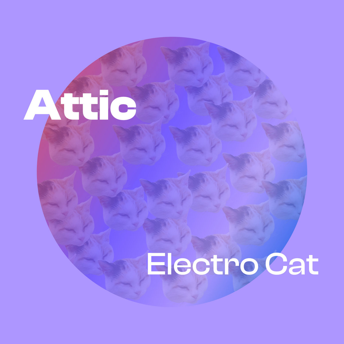 Album "Sans limite" - 24 titres | Attic Electro Cat