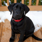 Clay | Herbert & Momoko | Matthew Herbert