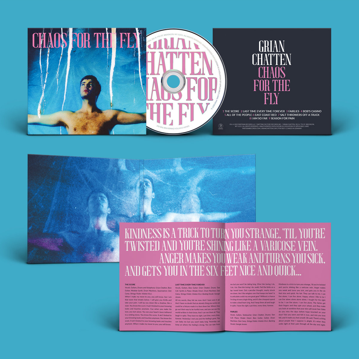 Chaos For The Fly | Grian Chatten