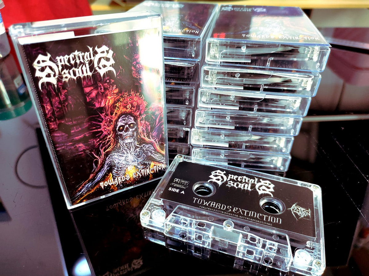 Towards Extinction | SPECTRAL SOULS | GUTS AND BLOOD Records