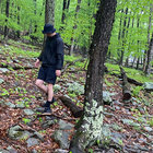 The Rotten Opera | PUZZLE