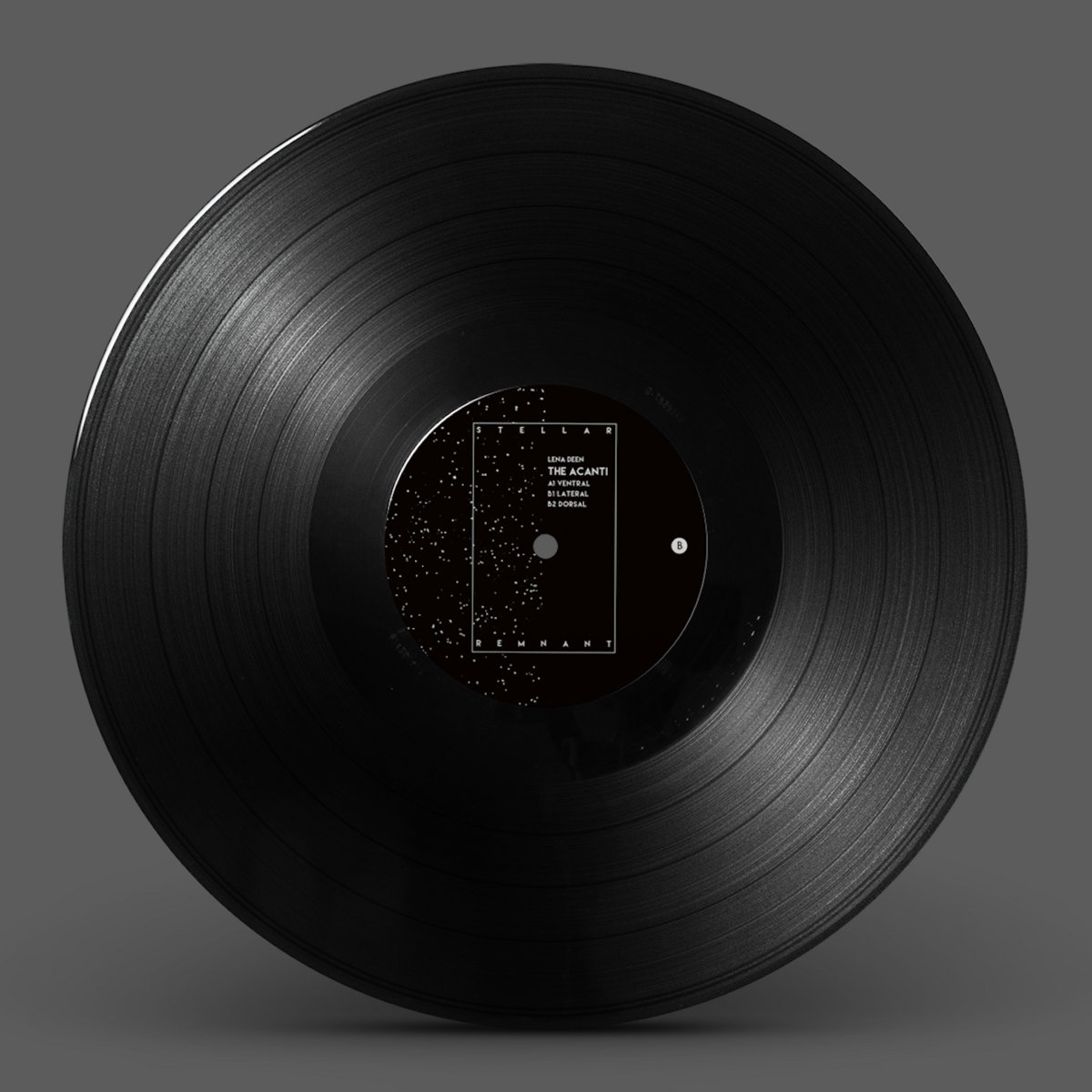 The Acanti EP | Lena Deen