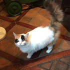 A thousand doors, just one key | Feldup