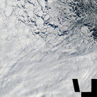 The Undivided Five | A Winged Victory for the Sullen