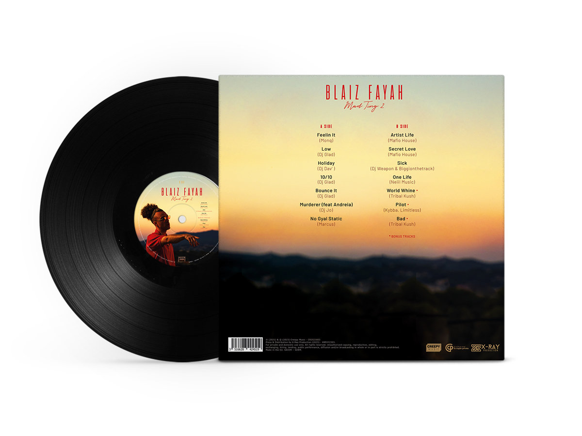 Mad Ting 2 | Blaiz Fayah