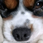 COW / Chill Out World! | The Orb