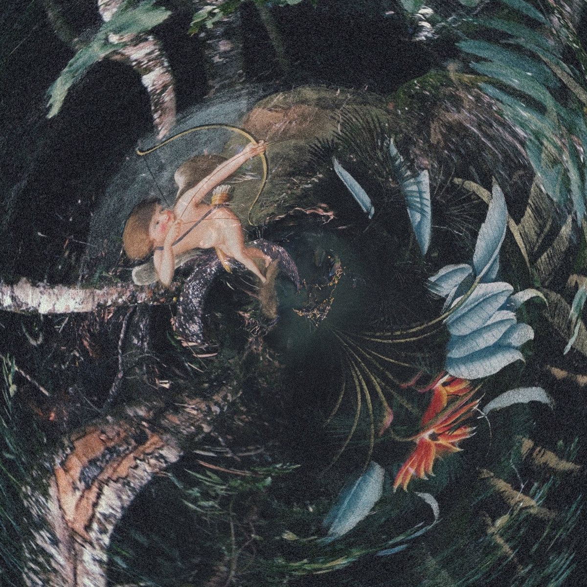 Only When I'm Dreaming | Cult of the Pines, XXAE47 | Cult of the Pines Only When I'm Dreaming | Cult of the Pines, XXAE47 | Cult of the Pines