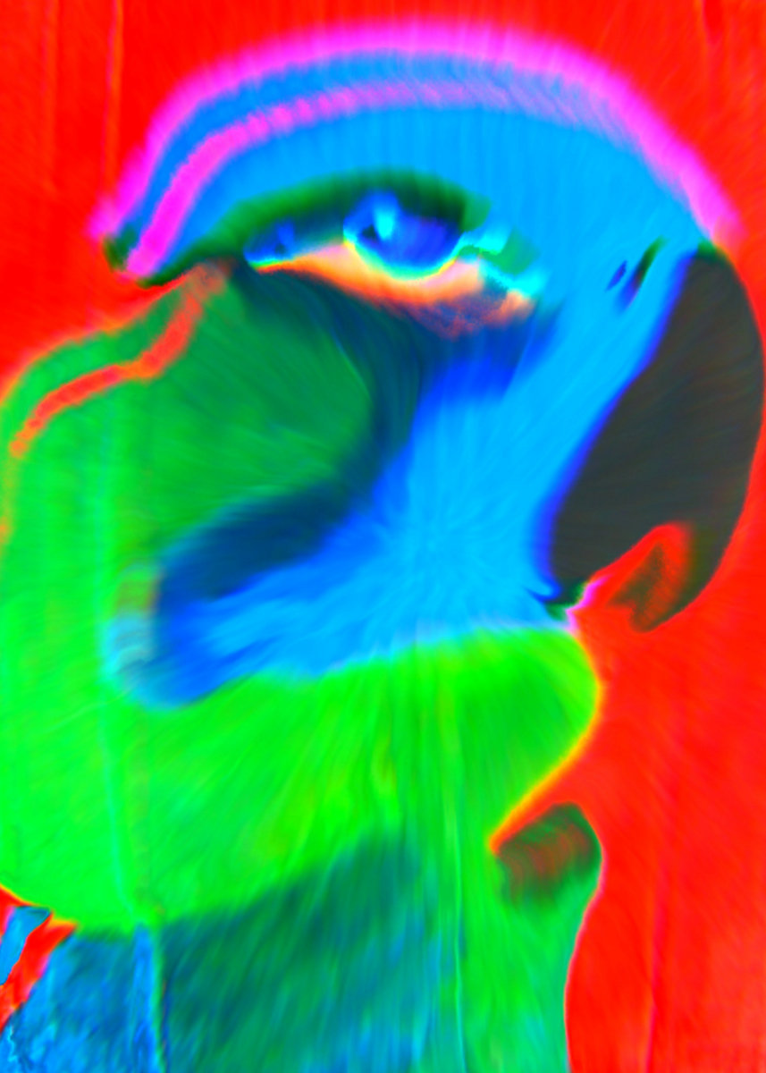 Love in the Time of Phylloxera EP | ZAGROS | Stochastic Parrot Artistic ...