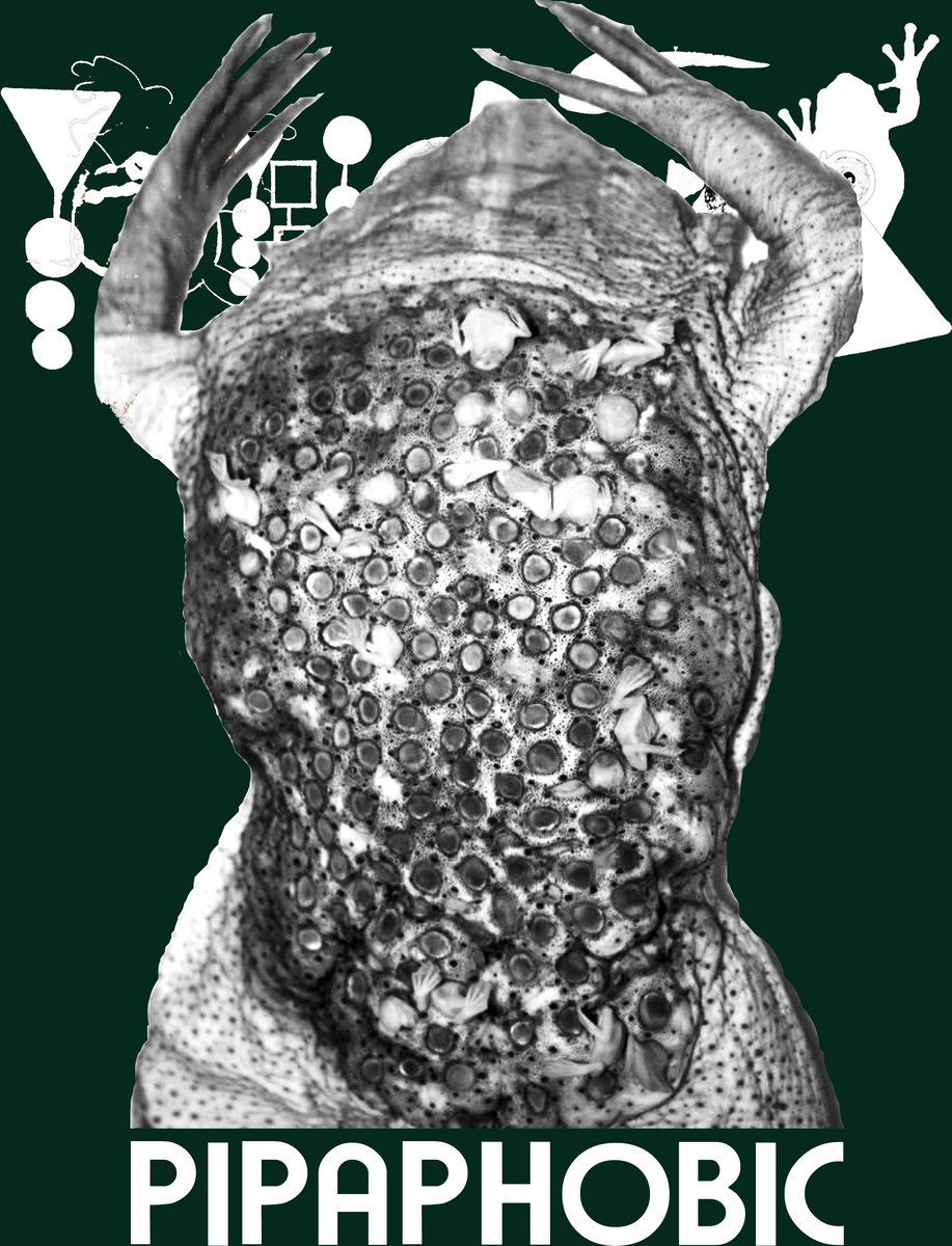 Wretching At The Sight Of The Pregnant | Phyllomedusa