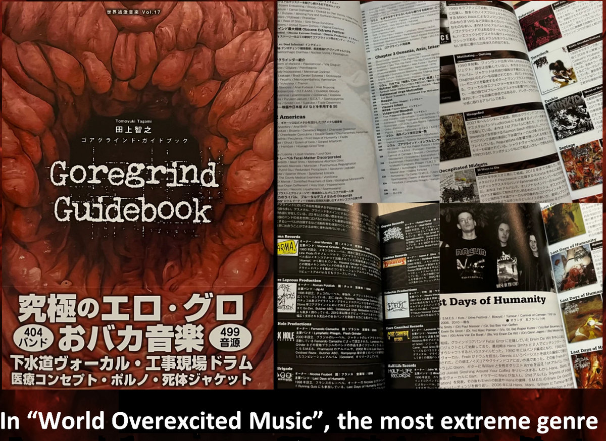GOREGRIND GUIDEBOOK (japan) | IMPHALTE
