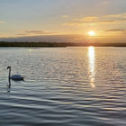 Clay | Herbert & Momoko | Matthew Herbert