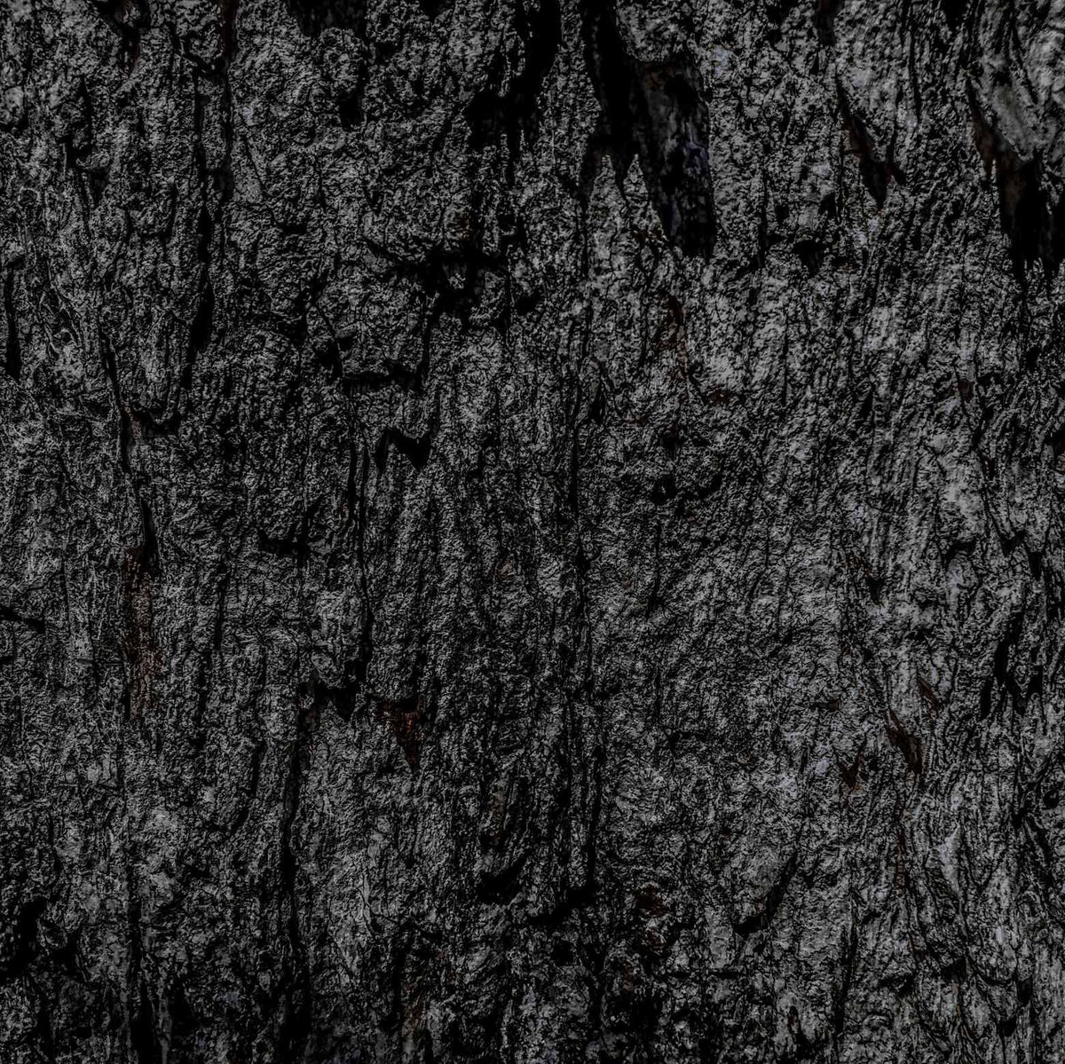 Childhood Movies | Mud Planet