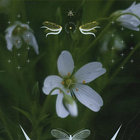 Raw Techno Sample Pack | Yan Cook