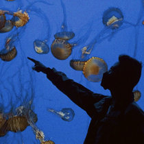 macaroonie's collection | Bandcamp