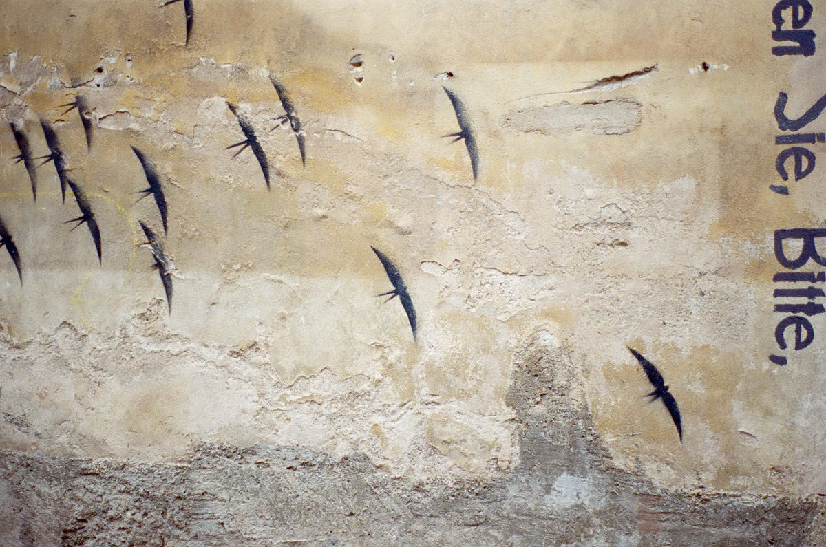 サマショール / Samosely - Самосели - | ein himinn