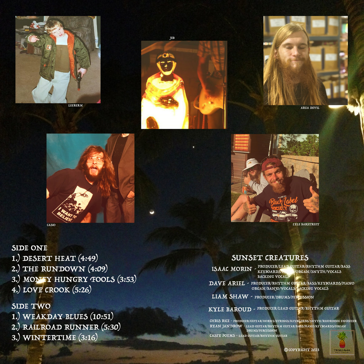 "Night Noises" | Sunset Creatures