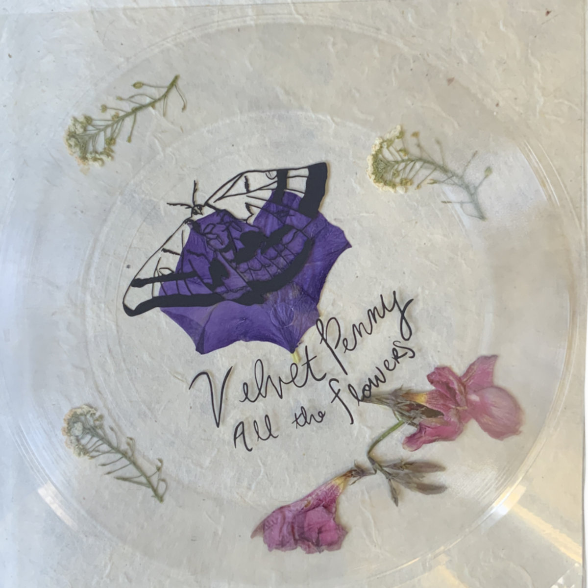 Limited Edition: FLEXI DISC + ZINE | Velvet Penny