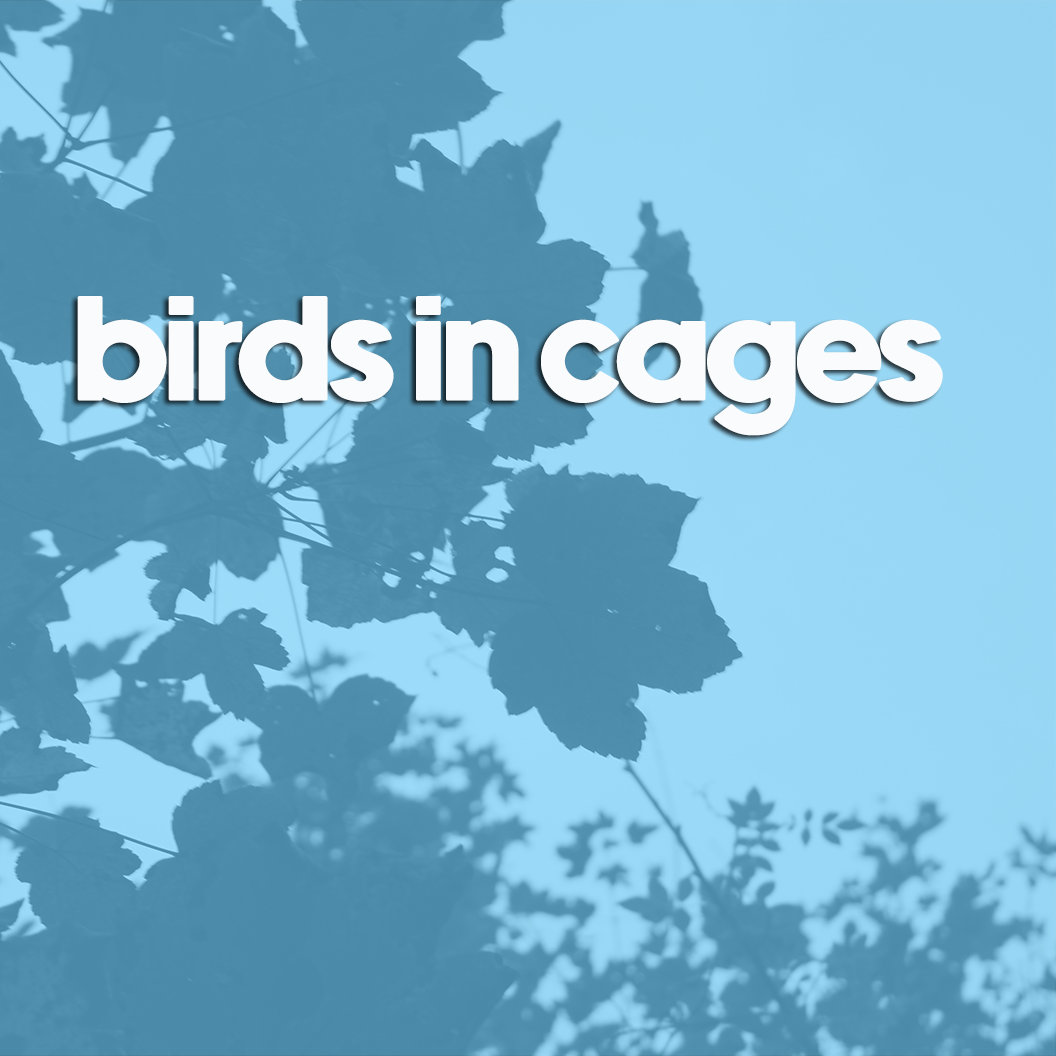 feel | birds in cages