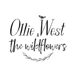 Music | Ollie West & The Wildflowers