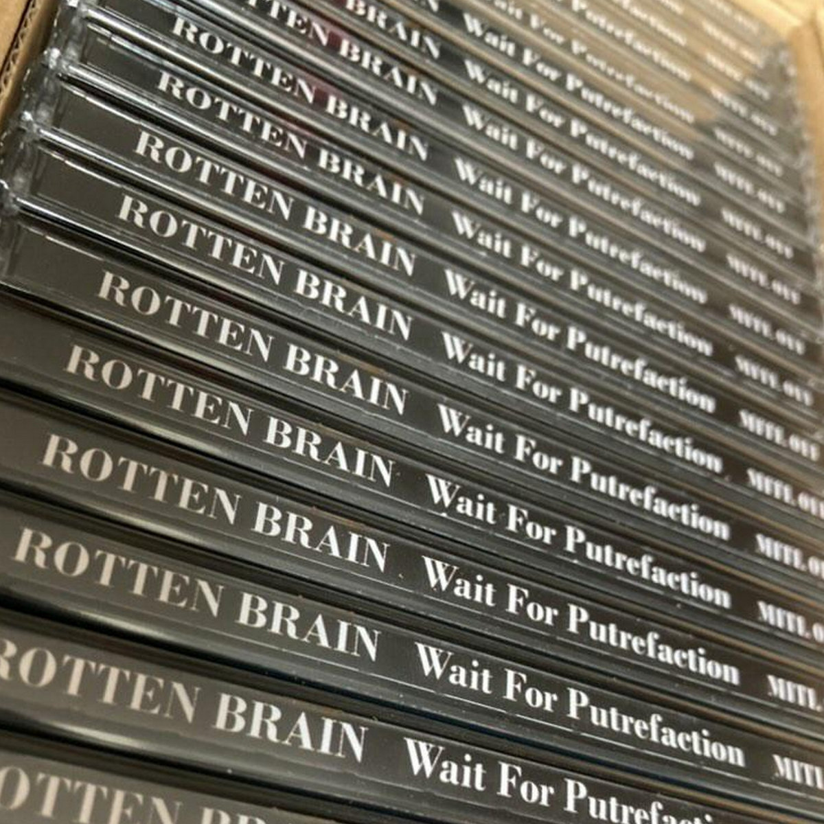 Wait For Putrefaction | Rotten Brain