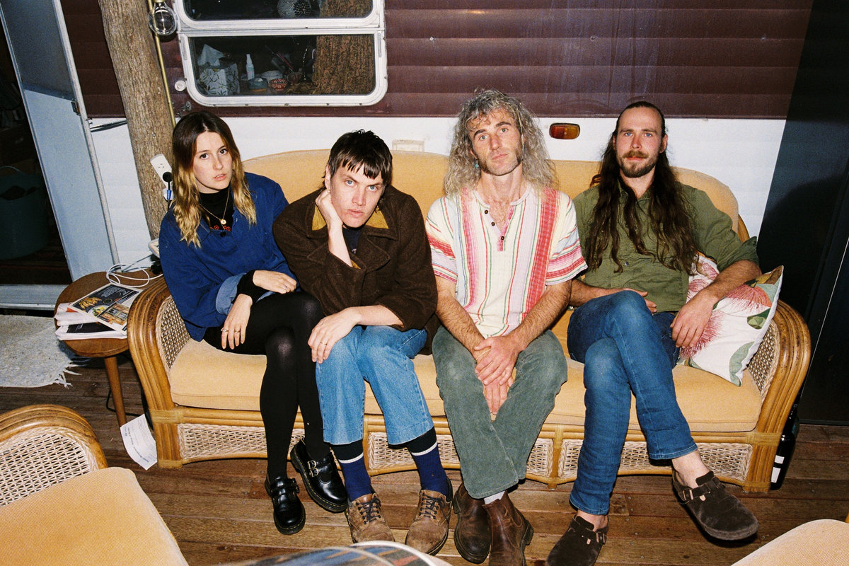 Modern Mess | Turtle Skull