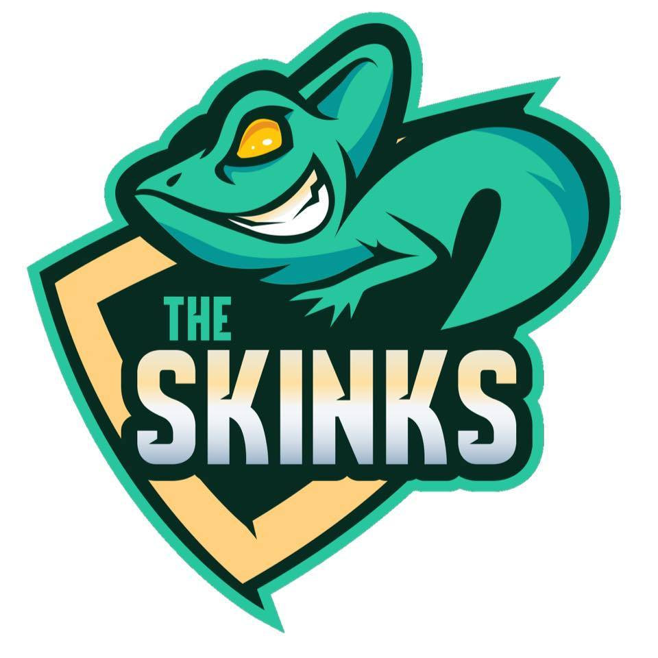Music | The Skinks