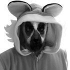 Instrumentals & B-sides | Poldoore