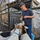 Exploding Trees & Airplane Screams | Patterson Hood