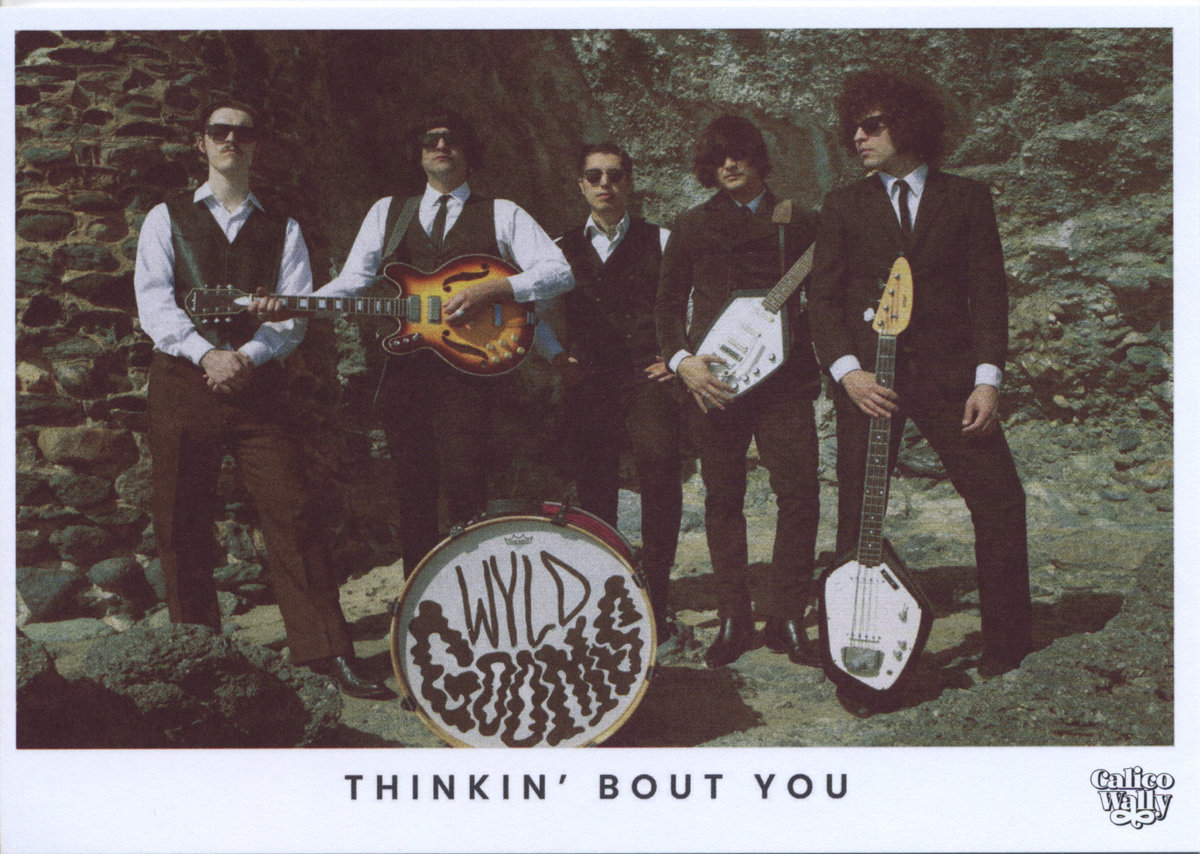 Thinkin' Bout You b/w Hey Tiger | THE WYLD GOOMS | State Records