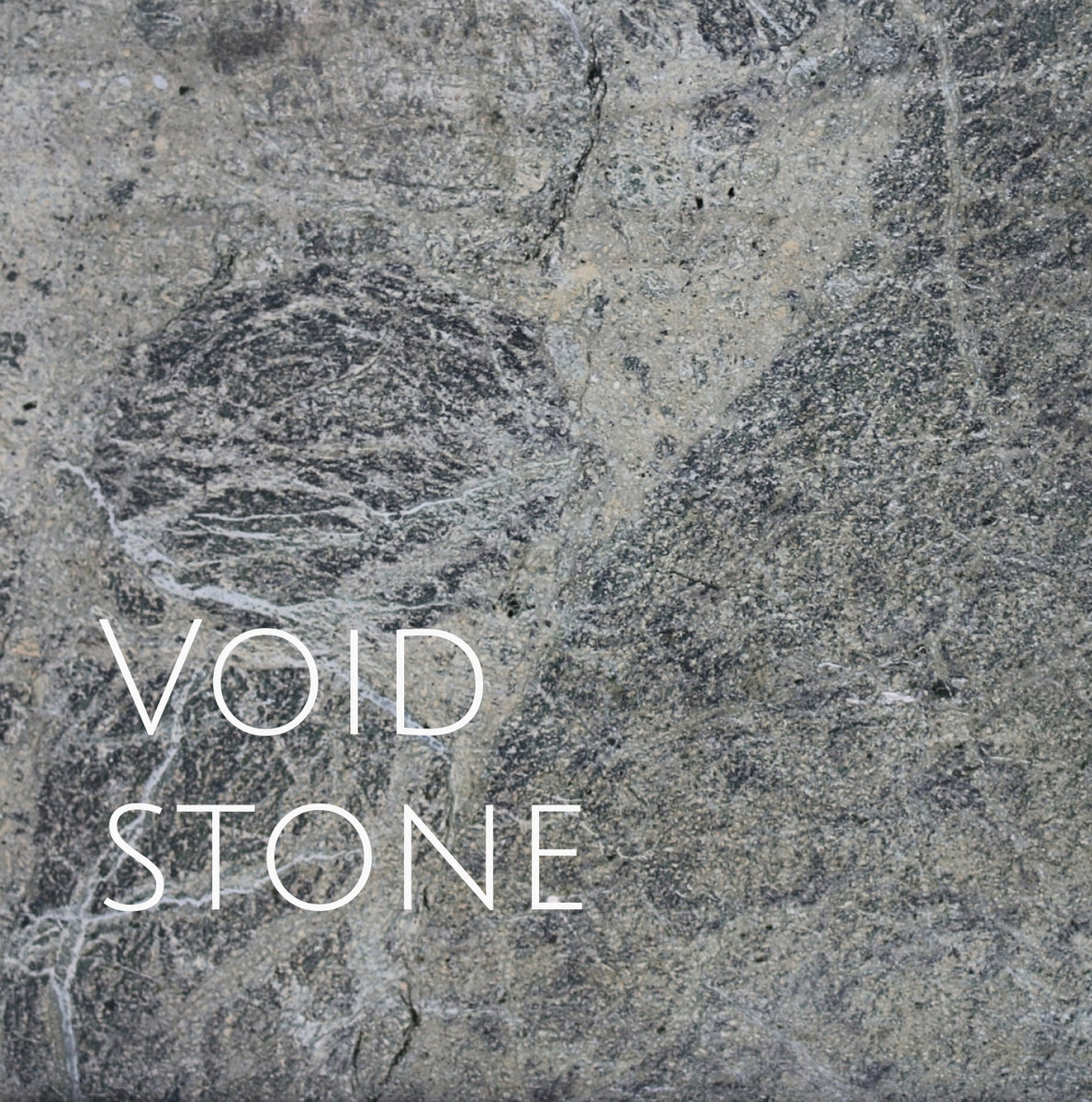 ANMLAmph Frogs In A Small Pond | Void Stone audio