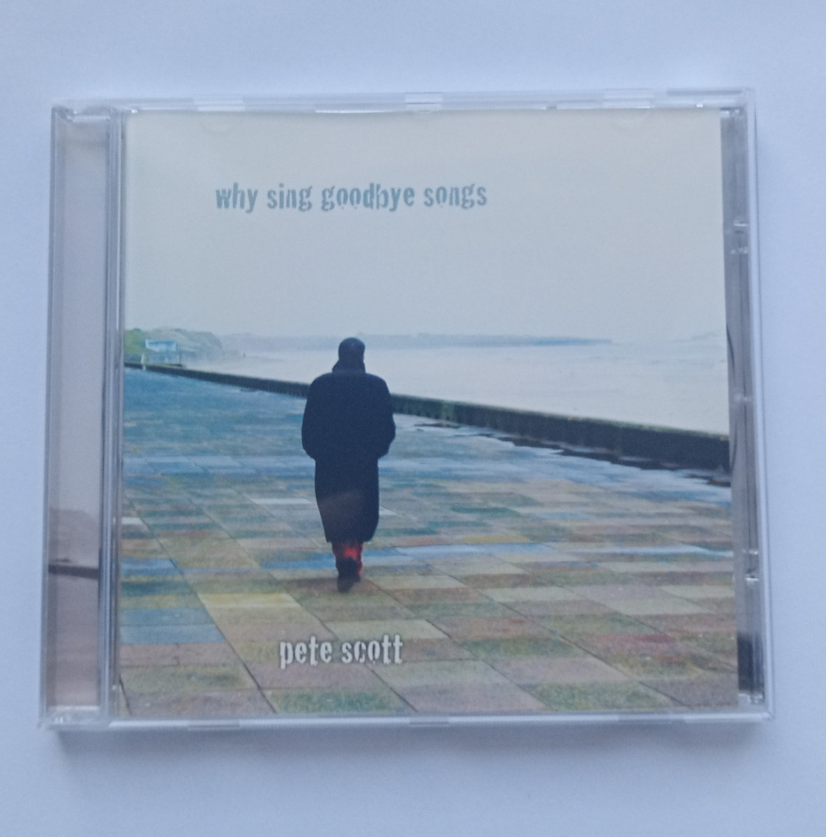 Why Sing Goodbye Songs | Pete Scott