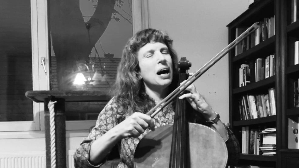 O Octopus | Diana Senechal