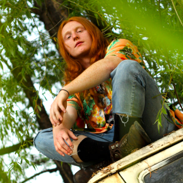 Lifted tree | Solomon Grey