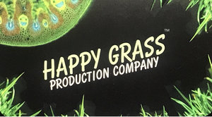 Music | Happy Grass