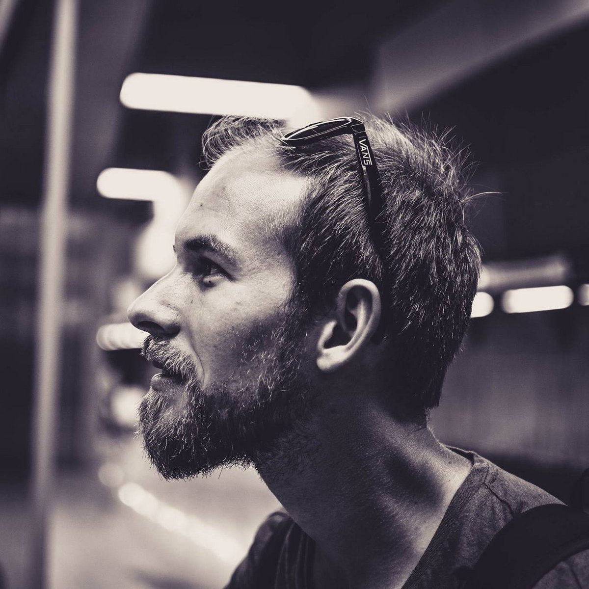 Sunflowers for Machines | Norbert Tóth-Pabar