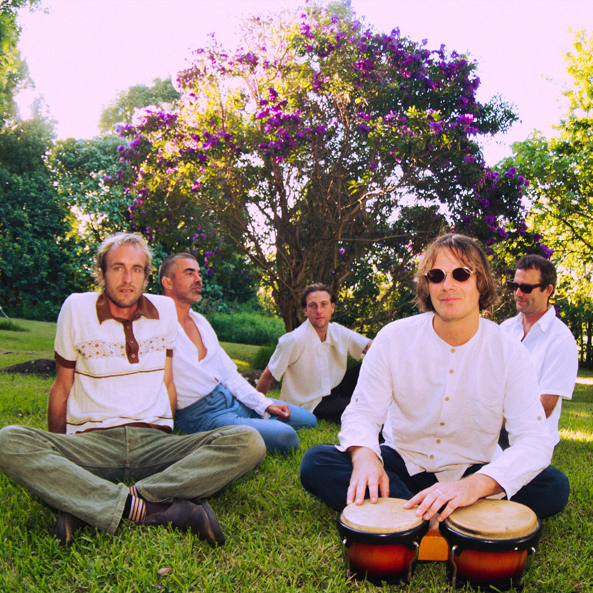 Small Steps, Tiny Doors | Pop Radio