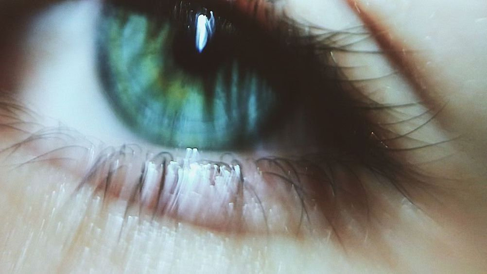 Twelve O´Clock High | Flingus Mingus