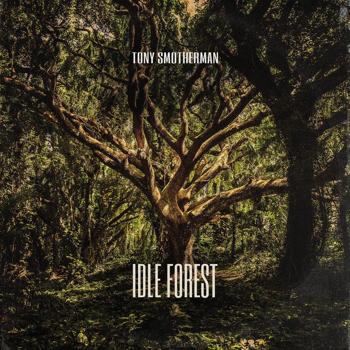 Idle Forest | Tony Smotherman
