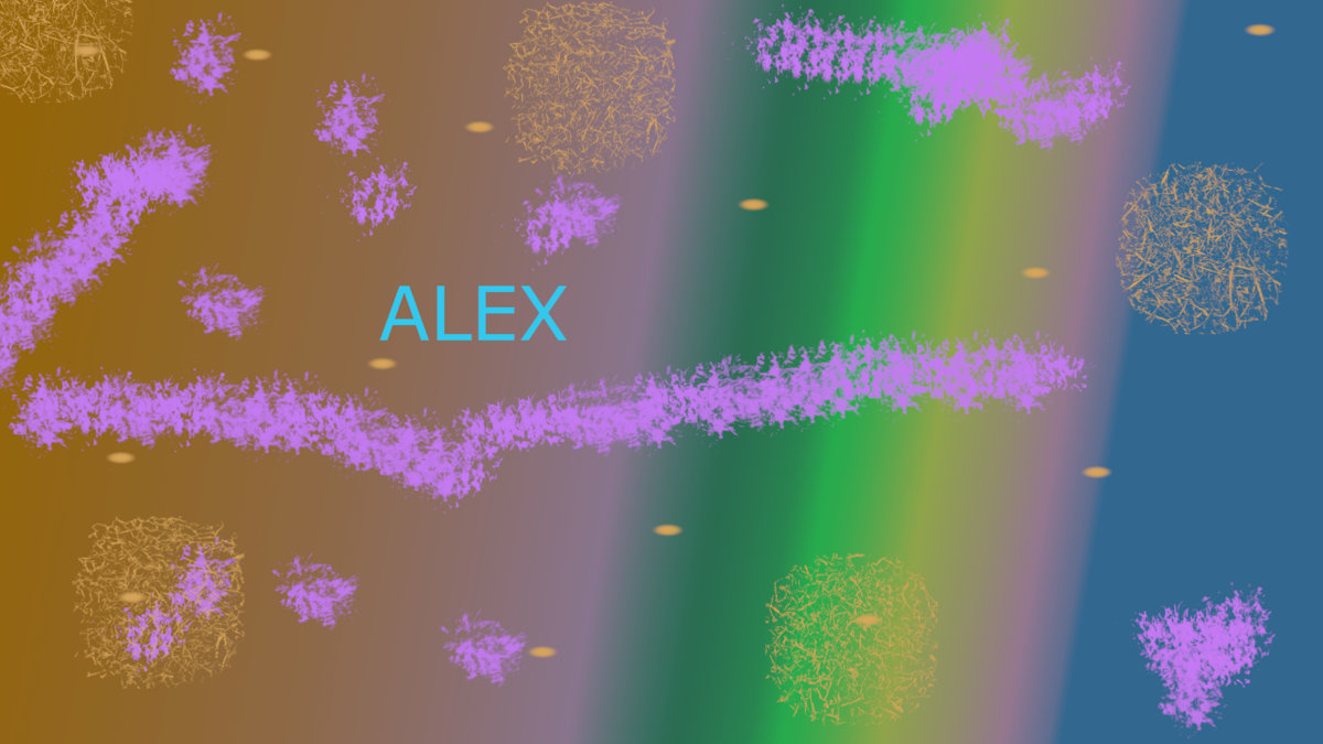 Experiments | Alex Harrison