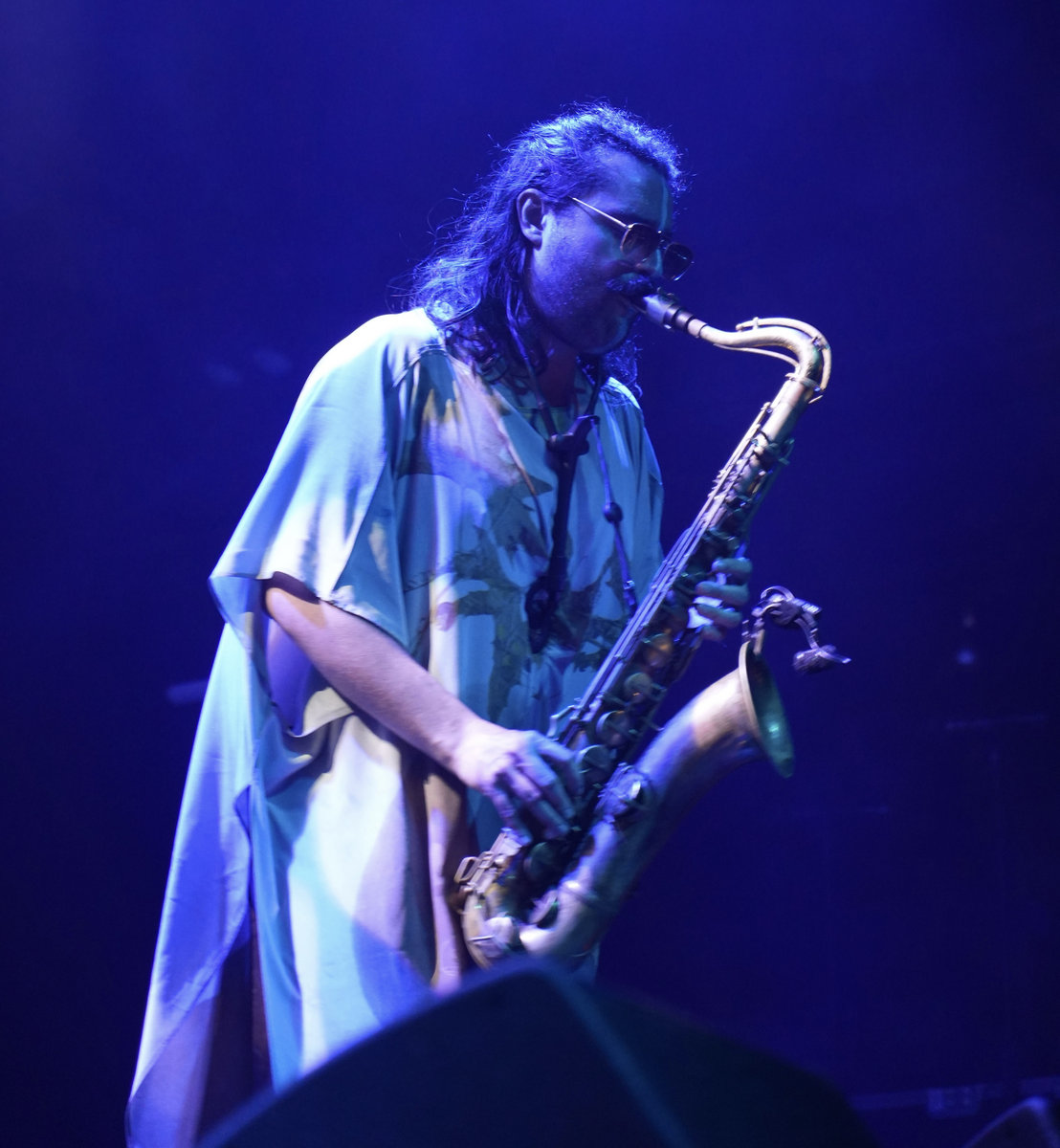 Fish Gotta Have It | Cole Stone-Frisina