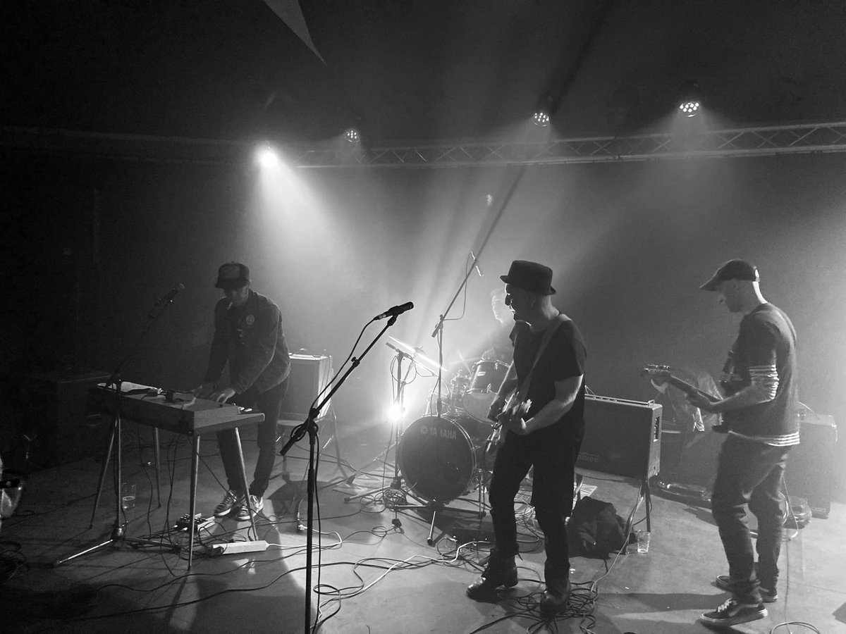 Crazy chicks | DB-CRASH