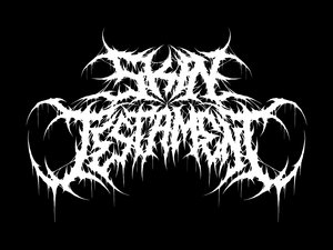Merch | Skin Testament