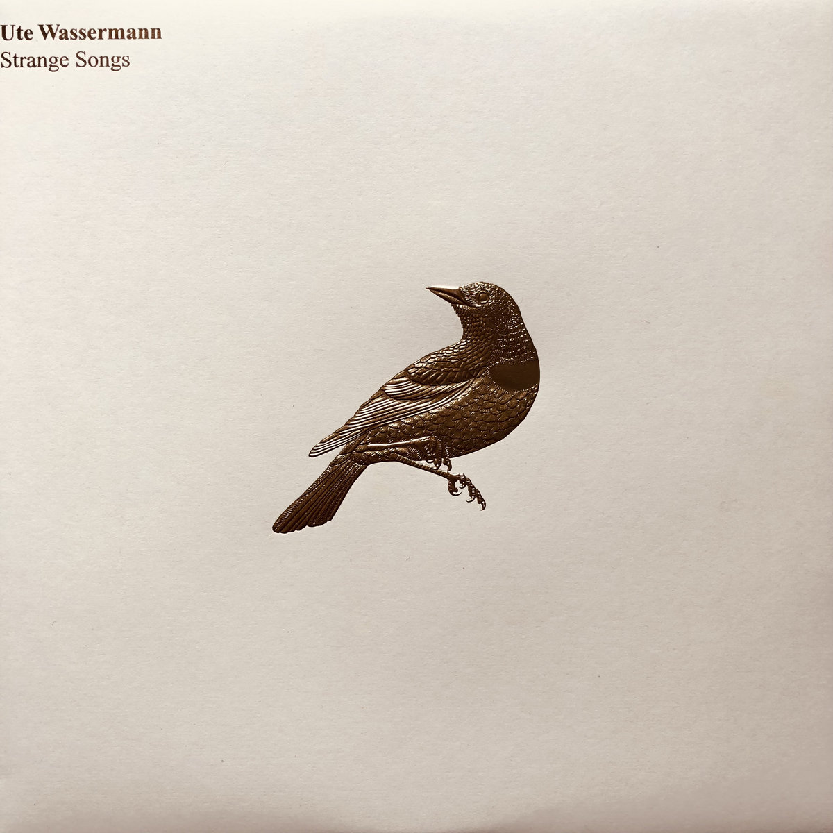 Strange Songs (For Voice And Bird Calls) | Ute Wassermann | Treader