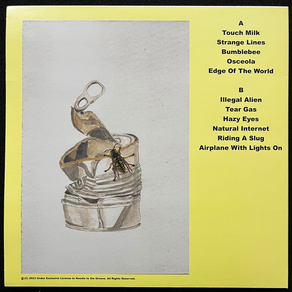 Will Sprott, “Natural Internet” | Bandcamp Daily