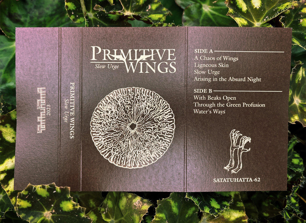 Slow Urge | Primitive Wings