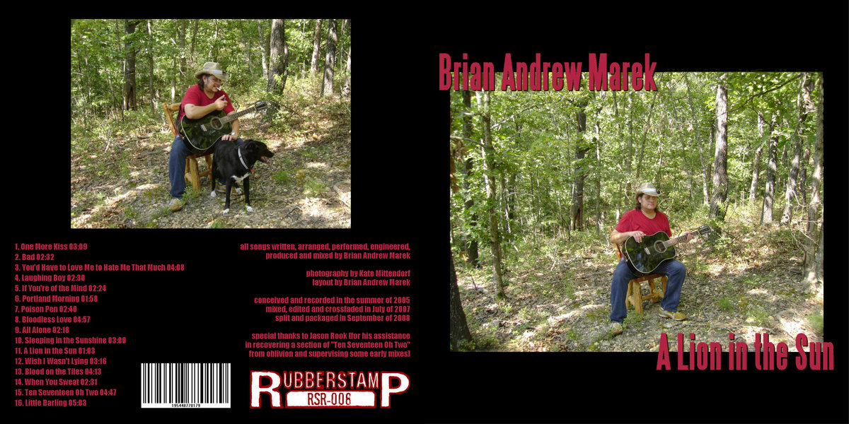 A Lion in the Sun | Brian Andrew Marek | Rubberstamp Records