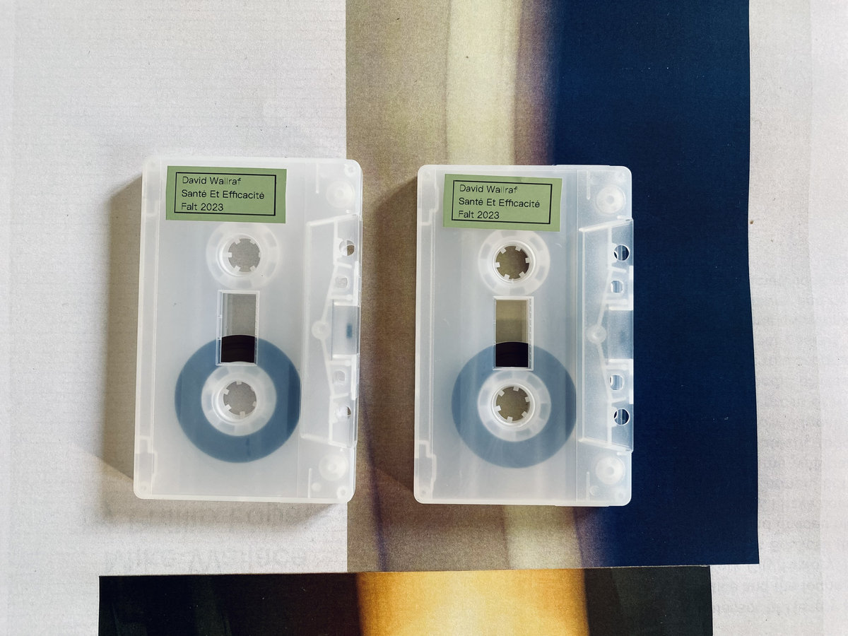 Santé Et Efficacité | David Wallraf | Falt