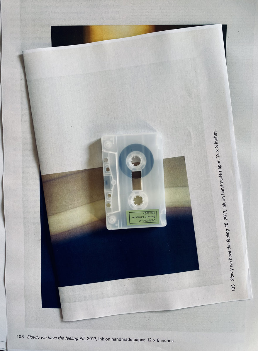 Santé Et Efficacité | David Wallraf | Falt